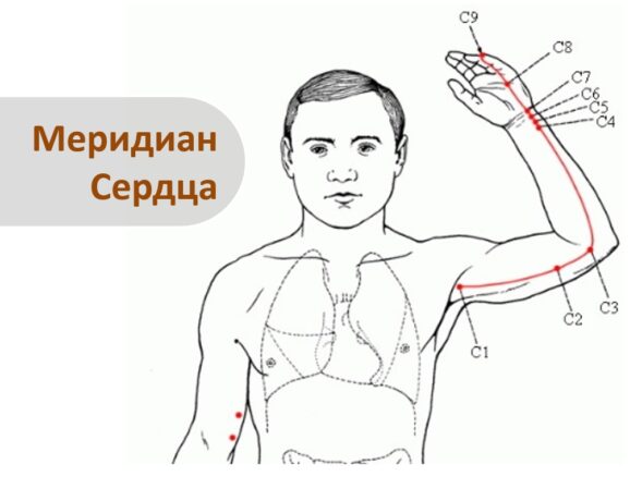 Меридиан Сердца. Свойства важнейшие - Восточная медицина