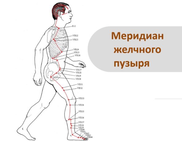 Меридиан желчного - Восточная медицина